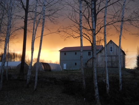 Reclaiming Ripley Farm – Ripley Farm