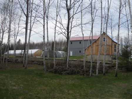 Reclaiming Ripley Farm – Ripley Farm